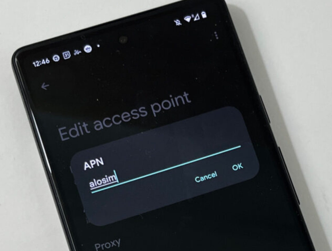 Come faccio a impostare l'APN sul mio Google Pixel? – Supporto aloSIM
